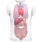 Halloween Internal Organs Costume All Over Adult T-Shirt – Old Glory