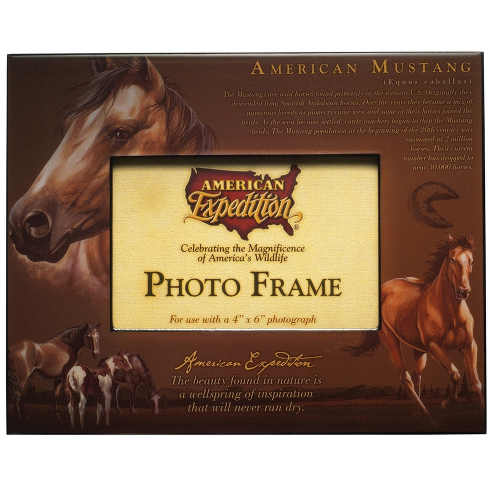 American Mustang Photo Frame – Old Glory